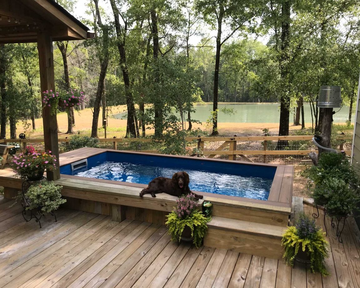 Inspiring Pool Vacuum Handheld Gallery
